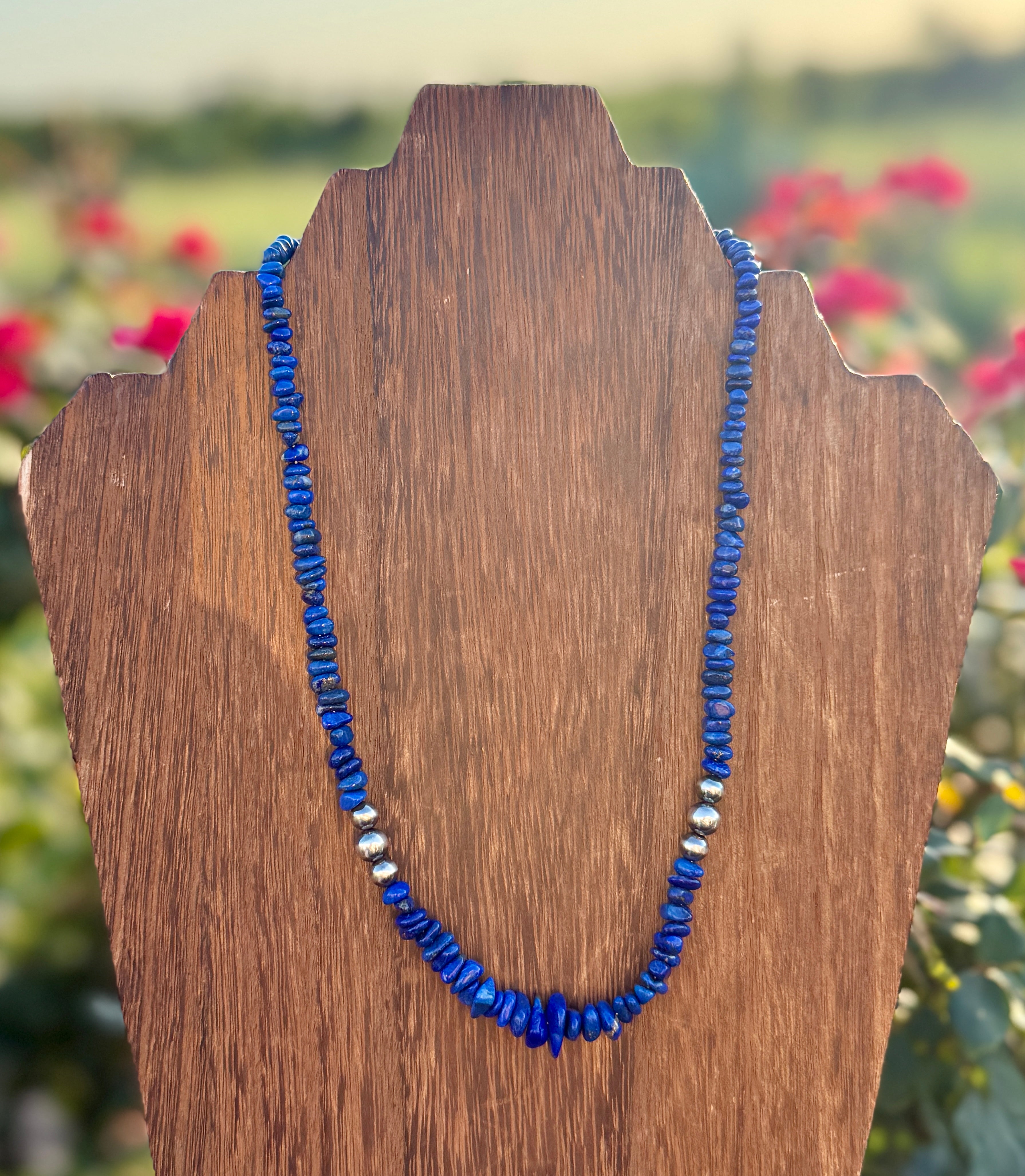 THE CLASSY – The Turquoise Lamb